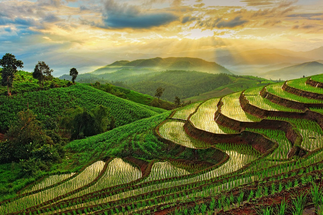 Discover the Magic of The White Lotus Thailand: 10 Must-See Spots